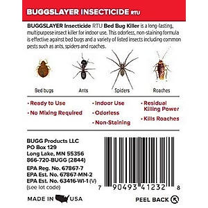 BUGGSLAYER Insecticide Ready-to-use Indoor 32-oz