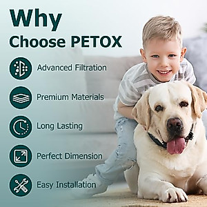 FLT4825 HEPA Filter B Replacement for Ge-rm Guardian Air Purifier AC4825 AC4300 AC4800 AC4900 AC4850, 2 True HEPA Filters & 8 Activated Carbon Pre-Filters