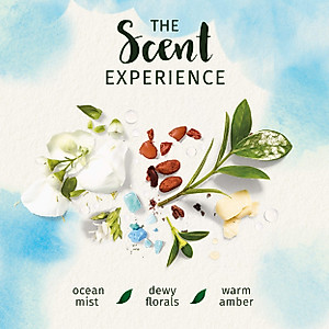 Herbal Essences Bio:Renew Birch Bark Extract Sulfate-Free Conditioner, 13.5 Fluid Ounce