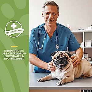 NaturVet - No Scoot for Dogs - 120 Soft Chews - Plus Pumpkin - Supports Healthy Anal Gland & Bowel Function - Enhanced with Beet Pulp & Psyllium Husk