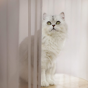 Window Light Gray Sheer Curtains 84 Inches Long 2 Panels Sheer Curtain Basic Rod Pocket Panel for Bedroom Children Living Room Yard Kitchen