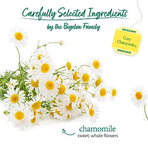 Bigelow Cozy Chamomile Herbal Tea, Caffeine Free, 20 Count (Pack of 6), 120 Total Tea Bags