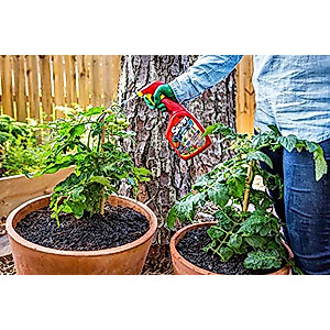 Sevin 100530114 GardenTech Insect Killer Ready to Use, 32oz, 32 Ounce RTU, Black