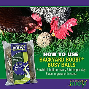 Backyard Boost Busy Balls - Prebiotic Chicken Food Treat to Alleviate Boredom - 1.36.Pounds (Pack of 6)