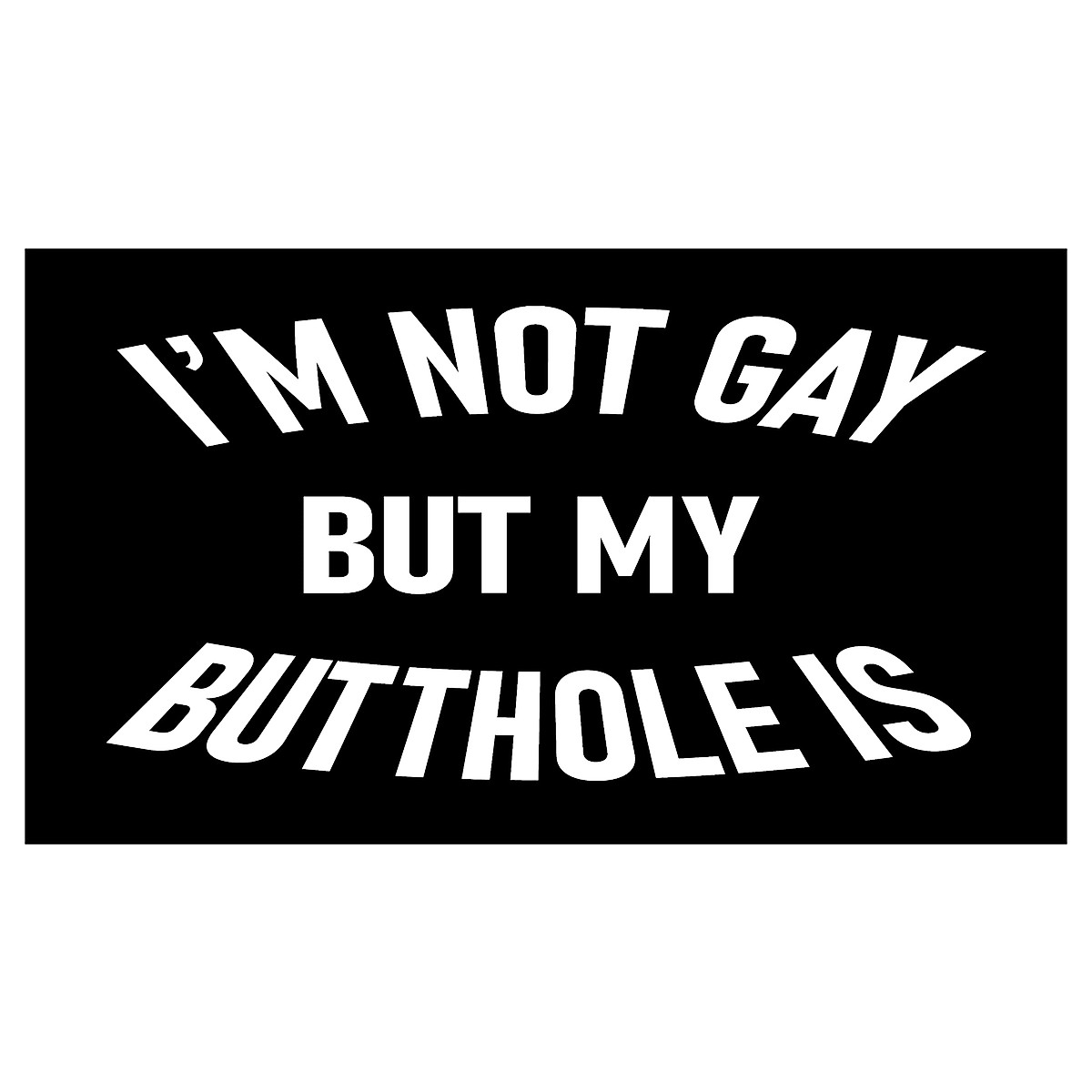I'm Not Gay But My Butthole Is Bumper Sticker 2 Sticker Deal 3x9 and 2x2 Funny Car Decal I'm Not Gay But My Butthole Is