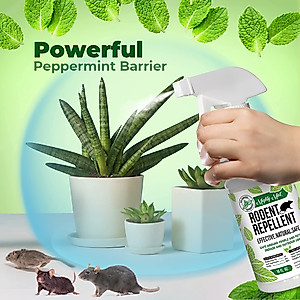 Peppermint Oil Rodent Repellent Spray and Concentrate - Makes 1 Gallon