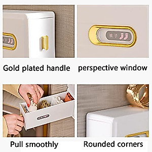 ACGrade Underwear Organizer,Wardrobe Wall Mounted Sock and Underwear Organizer,Closet Organizers,Underwear Organizer for Women(4pcs),38*8*12cm