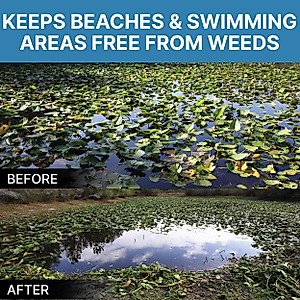 Jenlis The Original Weed Razer, Lake Weed Cutter, Large Pond Aquatic Plant Cutting Tool, Long and Sharp Razor Blades Shear Cattail, Reed, Lilly & Chara Algae, 48 Inch Cut Width, 25 Foot Throw Rope