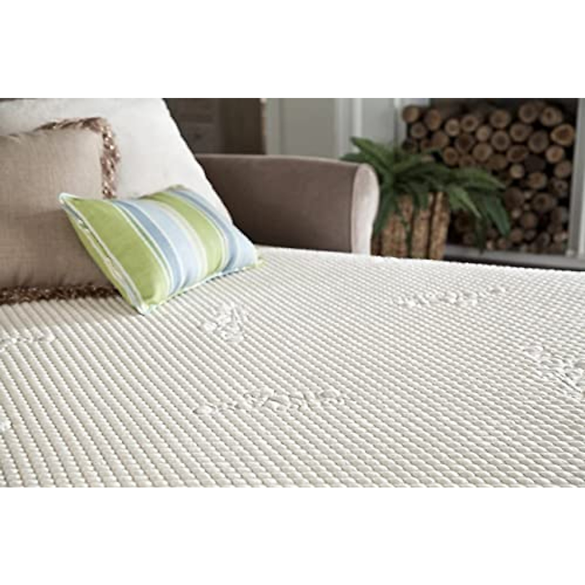 PlushBeds Sofa Mattress Organic Cotton| Handcrafted in The USA| Natural Latex| CertiPUR-US® Certified Plush Foam Layer| GOTS Organic Cotton Cover| Luxurious Comfort and Support| Queen Wide