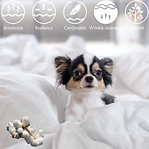 Brandream Kids Bedding Full Size Boy 100% Cotton Set Blue Adventure Hot Air Balloon Duvet Cover Set 3-Piece (No Comforter Included) Reversible