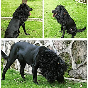 Onmygogo Lion Mane Wig for Dogs with Ears, Funny Pet Costumes for Halloween Christmas (Size L, Black)