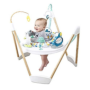 Evenflo Exersaucer Wood Frame Jumper, Woodland Wonder