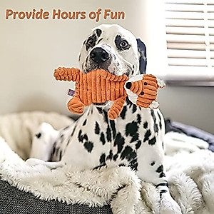 5Pack Dog Squeaky Plush Toys Puppy Toys Assortment Value Bundle Dog Toy for Puppies Bulk Large Dog Teething Toys Pet Chew Toys