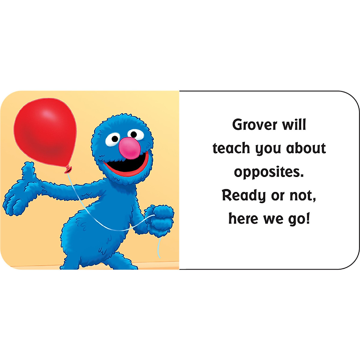 Sesame Street: 12 Board Books