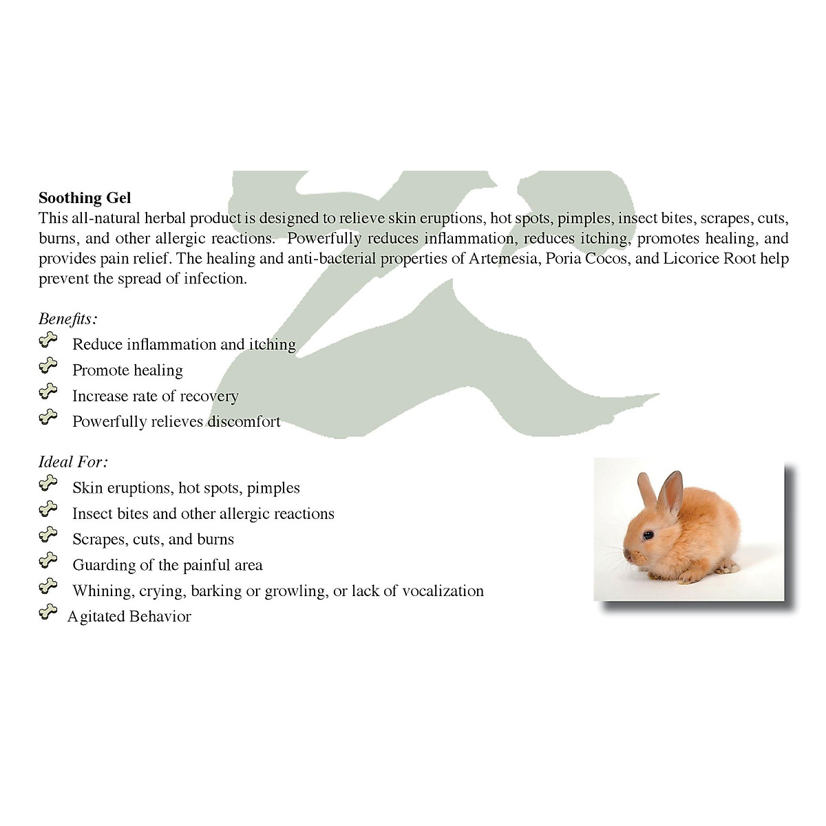 JADIENCE Dog, Horse & Cat Skin Soothing Gel: Homeopathic Treatment for Hotspots, Rashes & Sores | All Natural Pet Wound & Lesion Care | Provides Relief for Itching, Discomfort & Pain | EnlightAPet