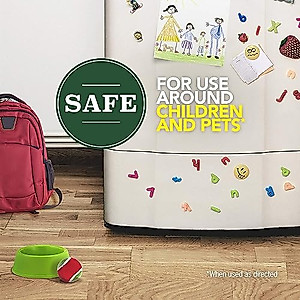 Raid Ant and Roach Killer 11 Ounce (Pack of 3)