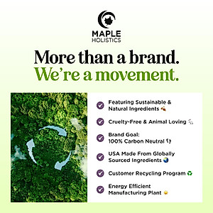 Sulfate Free Shampoo and Conditioner Set - Tea Tree Sage and Rosemary Shampoo and Conditioner for Dry Flaky Scalp Care - Deep Cleansing Color Safe Shampoo and Conditioner for Damaged Dry Hair Care