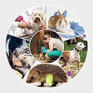 WePet Pet Wrap, Self-Adhesive Non-Woven Tape for Dog Legs, Paws, Wounds, First Aid Cohesive Gauze for Horse, Cat, Bird, Animal, 3 Rolls, 4 Inch
