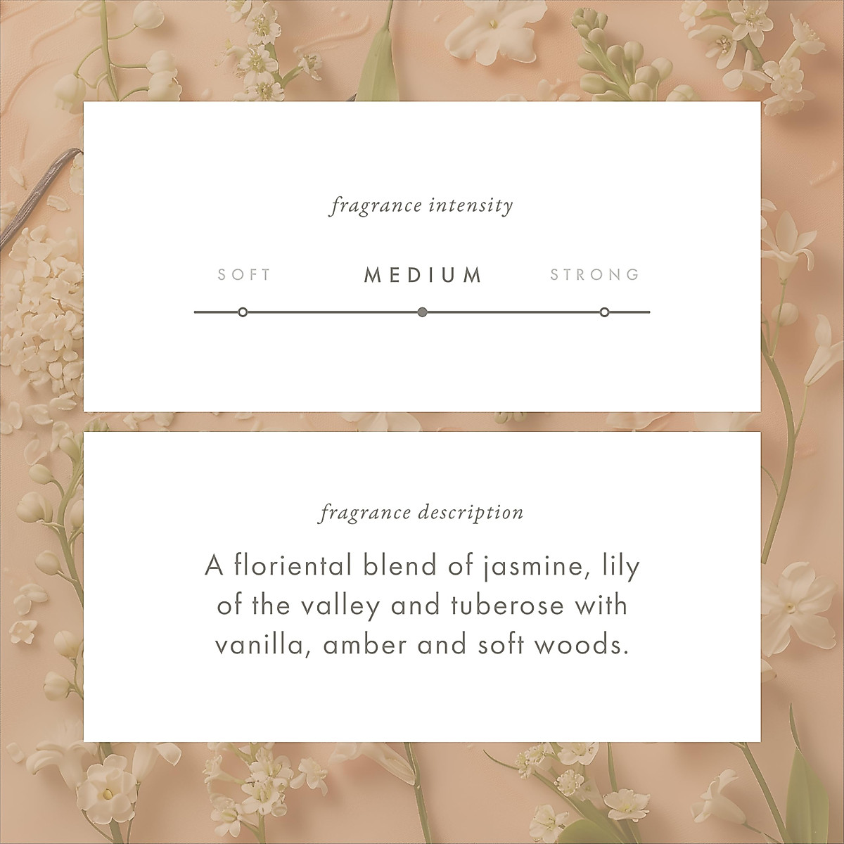 ScentAir Monthly Fragrance Cartridge for Whisper Home - Asian Garden