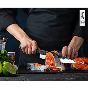 Concord Genbu Traditional Japanese Chef's Knife Raw Hammered Double Beveled 9CR18MOV Blade w/ 60 HRC. Tortoise Shell Resin Handle. Comes with Magnetic Magnolia Wood Sheath with Stand. (7" Nakiri)