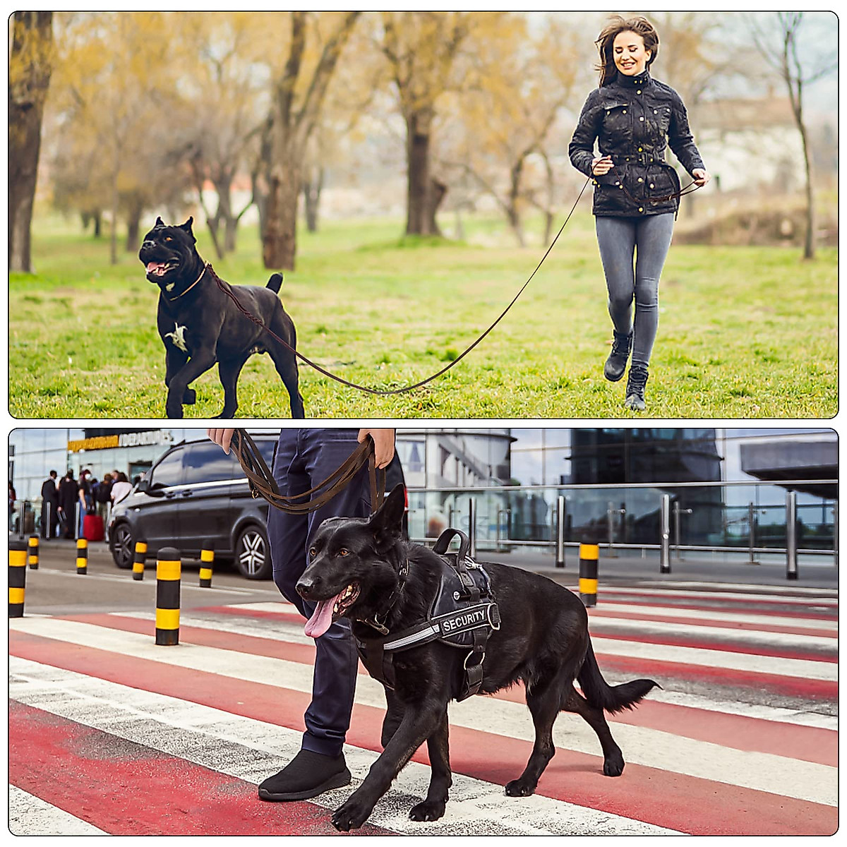 Wellbro 15ft Long Leather Dog Leash,Double Handle Dog Leash,Tieout for Yard, Camping, and Outdoors - Dog Run Cable for Total Control and Off-Leash Feel, Great for Large, Medium, Service Dogs