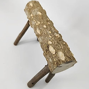 Bird Training Stand Portable Tabletop Bird Natural Wood Perch Training Perch Parrot Training Playground Bird Cage Toys Accessories for Small Parakeet Cockatiel Budgie