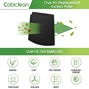 True Air Replacement Carbon Filters Compatible with Hamilton Beach Pet TrueAir Purifier Odor Eliminators Model 04384, 04386, 04532GM, 04530G, 04530GM & 04531GM,Compared to part #04234G (10-Pack)