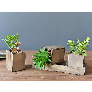 Set of 3 Fake Succulents Plants, Artificial Succulents with Rustic Style Wood Square Pots & Rectangular Tray, Desktop herb Garden Mini Faux Succulents for Home Décor