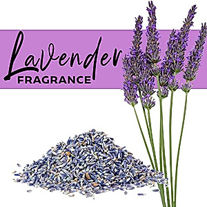 CurlMix Curly Hair Wash and Go Sampler - Lavender Fragrance - Clarifies, Moisturizes, and Strengthens Ethnic, Natural, and 4C Hair - Organic, Handmade Shampoo, Conditioner, Moisturizer, Softening Gel - Paraben Free - Sulfate Free - 4oz - (Set of 4)