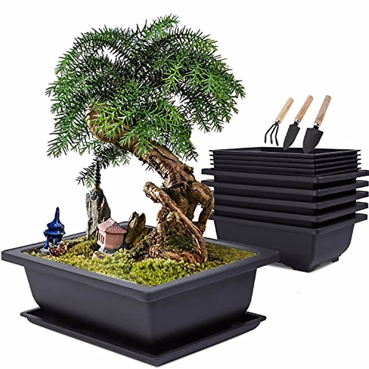MissFox Bonsai Bowl with Saucer, Potted Plants Plant Pot for Garden, Bonsai Training Pots Made of Plastic, 6 Flower Pots Square Large with 6 Trays and 3 Mini Garden Tool Set, 16 x 12 x 6 cm