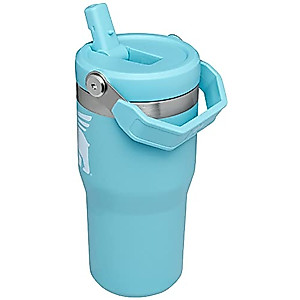 Stanley Classic IceFlow Flip Straw Tumbler for Kids (8 or Above), 20oz, Stan the Bear Stainless Steel Tumbler with Double-Wall Vacuum Insulation