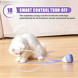 FEECOS Cat Toys, Cat Wand Toy Electronic Silicone PlushTail Toy Automatic Interactive Toy for Indoor Cats, USB Rechargeable Robotic Cat Moving Toys Pet Exercise Toys Kitten Toys