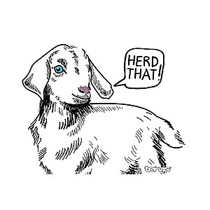 Tervis Herd That Goat Triple Walled Insulated Tumbler Travel Cup Keeps Drinks Cold & Hot, 20oz Legacy, Stainless Steel