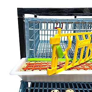 Hatching Time Quail Cage - 1 Layer (Power-Washable, Durable, ABS Plastic) | Cimuka