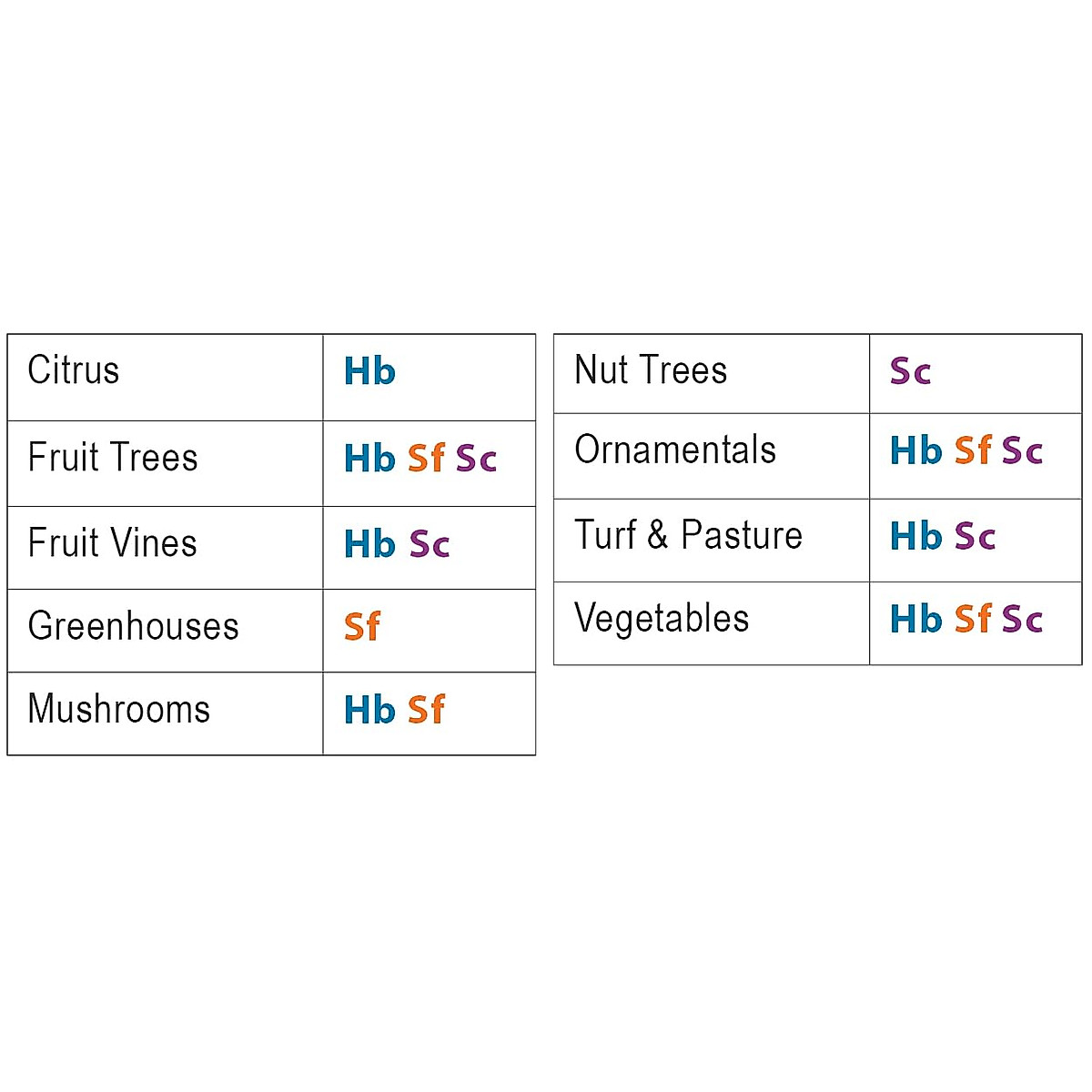 Beneficial Nematodes Heterohabditis bacteriophora HB -10 Million