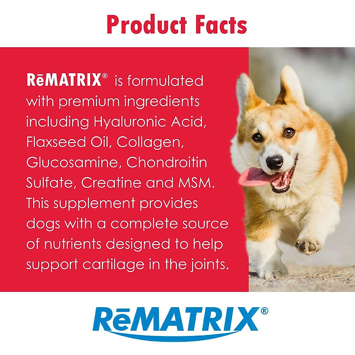 ReMATRIX Joint Support Supplement for Dogs - Glucosamine, Chondroitin, MSM, Omega-3 - Hip and Joint Pain Relief and Support for Dogs - Made in USA - 60 Soft Chews