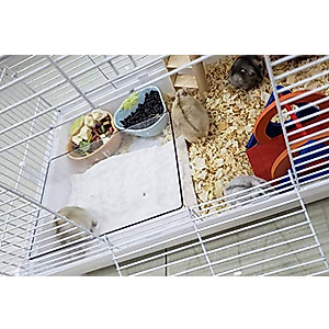 Cumuiu Hamster Sand Bathroom Clear Acrylic Toilet Tray Bathroom for Hedgehog Squirrel Hamster Guinea Pigs and Small Animal (Small)