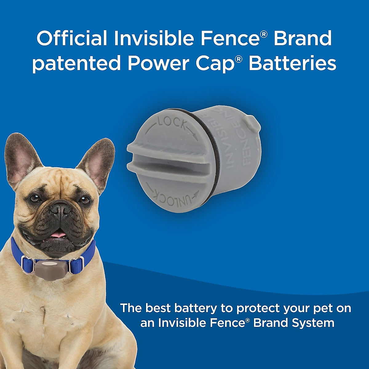 Invisible Fence Power Cap Batteries for MicroLite and MicroLite Plus Computer Collar Units – Also compatible with MaxDog and MaxDog Plus Dog Collars - 1 Pack