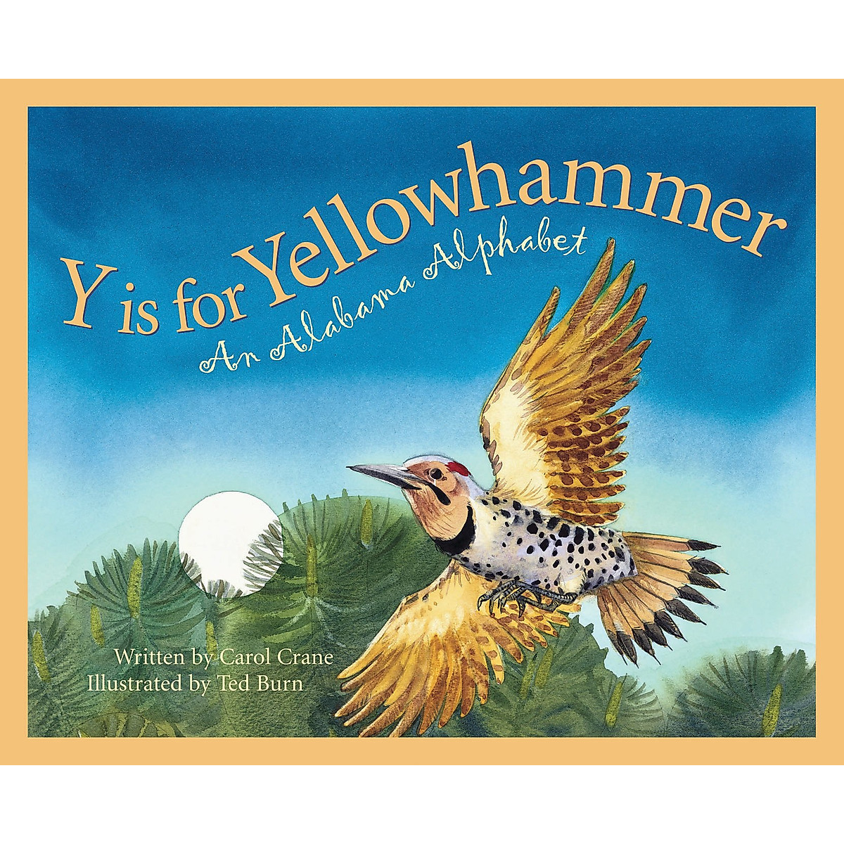 Y is for Yellowhammer: An Alabama Alphabet (Discover America State by State)
