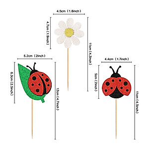 Cyodoos 24Pcs Ladybug Cupcake Toppers Flowers Insects Cupcake Picks Garden Theme Baby Shower Kids Birthday Party Cake Decorations Supplies