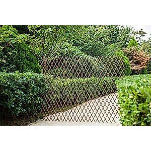 Sumery Nature Willow Trellis Expandable Plant Support Plant Climbing Lattices Trellis Willow Expandable Trellis Fence for Climbing Plants Support 36x92 Inch,Double Panel (1, Willow Wicker Fence)