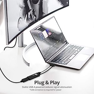 SIIG HDMI 2.0 to DisplayPort 1.2 4K@60Hz Converter Adapter, HDCP 2.2, Stereo Audio, USB-Powered, Not Compatible with Apple Studio Display (CB-H21811-S1)