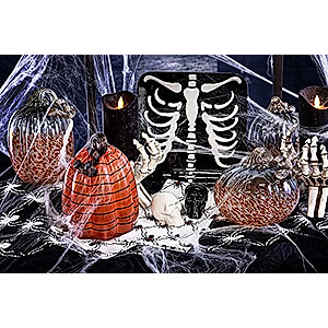 Boston International Halloween Ceramic Serving Platter, 10 x 10-Inches, Skeleton Torso,KAC20383