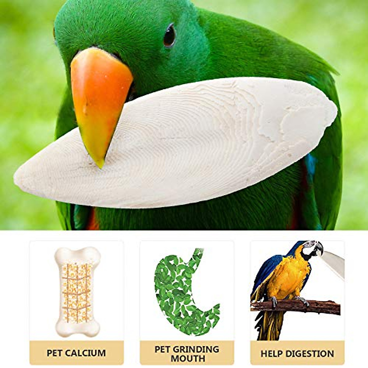 TEHAUX Bird Cuttlebone for Parakeets, Natural Cuddle Bone, Chewing Cuttlefish Bone for Sharp Beaks, Natural Birds Calcium Suitable for Parrot Cockatiels Budgie Conures