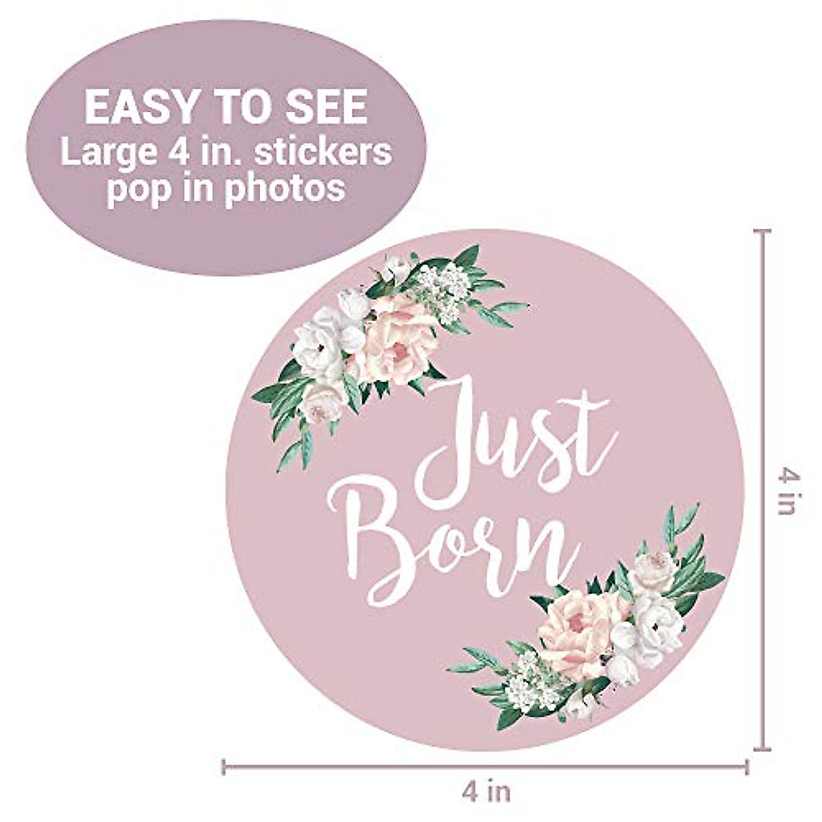 Baby Monthly Stickers | Floral Baby Milestone Stickers | Newborn Girl Stickers | Month Stickers for Baby Girl | Baby Girl Stickers | Newborn Monthly Milestone Stickers (Set of 24)