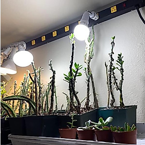 CLWHJ-360 Degrees Adjustable 2 in 1 E26/E27 Splitter Socket Adapter. E26/E27 Standard LED Bulbs 360 Degrees Adjustable 180 Degree Bendable Max Watt 120W (2 in 1)