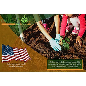 Lettuce Seeds for Planting, Red Romaine Lettuce, Bibb Butter Lettuce, Black Seeded Simpson, Green Ice Iceberg Lettuce, Non-GMO…