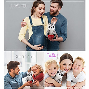 DolliBu I Love You Valentine Plush Raccoon - Cute Stuffed Animal with Red Heart and Name Personalization Gift for Valentines Day, Birthday, Anniversary, Romantic Date - 9 Inches