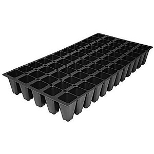 Buddleia Nanho Blue - 3 Live Plants - Blooming Butterfly Bush