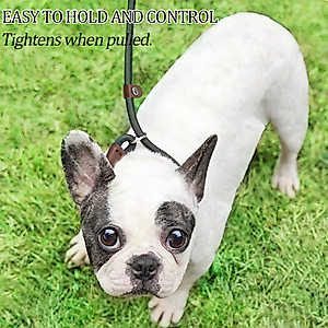 MayPaw Slip Lead Control Leash for Dogs No Pull, 13+ Colors Classic Dog Leash 7 FT Pet Slip Leash, 1/4” Rope Leash for Small Medium Animals (7ft*1/4", Green)